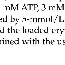 SEM Images Of Control And Loaded Erythrocytes Obtained By Dialysis And