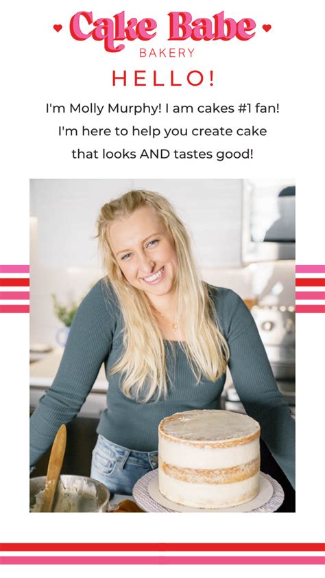 Easy Birthday Cheesecake Cake Recipe Cake Babe