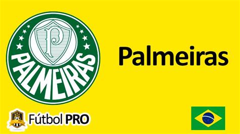 Palmeiras Historia Palmarés Y Pasión Verde En Brasil
