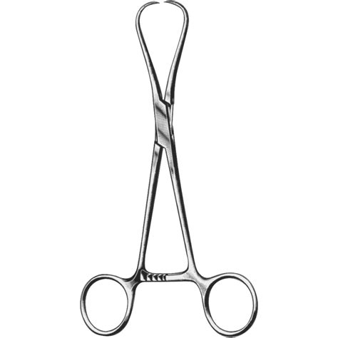 Staude Moore Phc Surgical