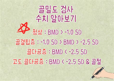 골밀도 검사 방법 확인 골다공증 수치 관리에 검증된 것은 네이버 블로그