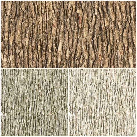 Tree Bark Pattern Etsy