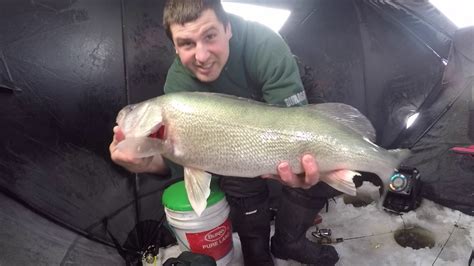 Deep Water Walleye Lake Winnipeg Vlog 4 Youtube