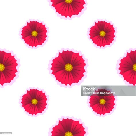 白い背景に美しい花ベクターイラストシームレスな花柄 イラストレーションのベクターアート素材や画像を多数ご用意 イラストレーション