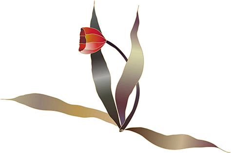 Red Tulip Flower Vector Sketch Style Abstract Beauty Vector Style Abstract Beauty Png And