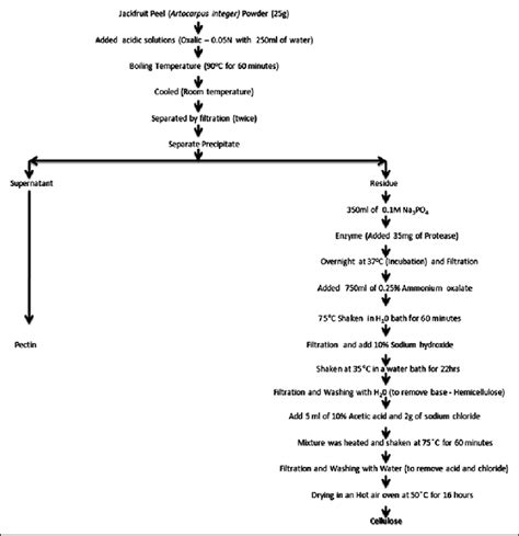 Extraction Of Cellulose From Jackfruit Peel Download Scientific Diagram