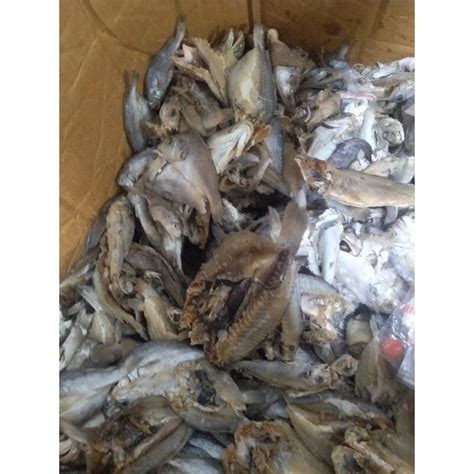 Jual Ikan Asin Belah Kepala Batu Shopee Indonesia