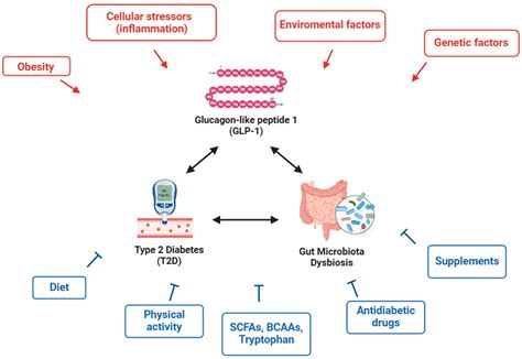 Targeting The Gut Microbiota For Prevention And Management Of Type 2