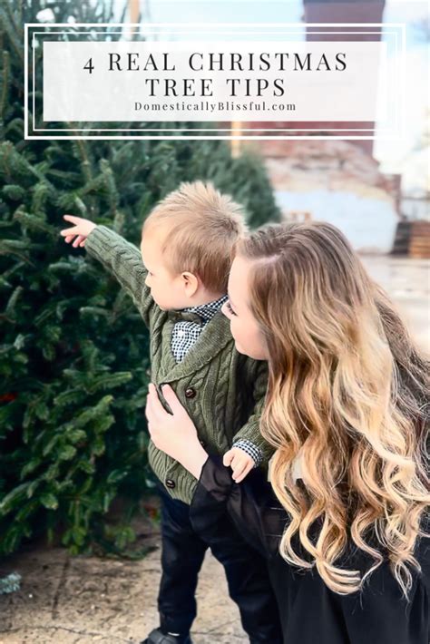 4 Real Christmas Tree Tips Domestically Blissful