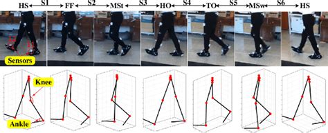Gait Phases And The Sensor Placement Download Scientific Diagram