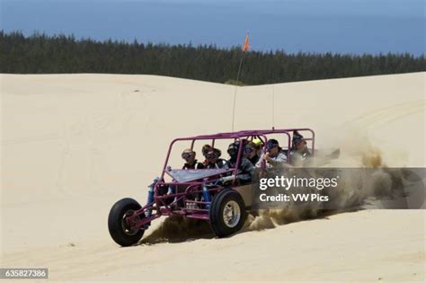 Oregon Dunes National Recreation Photos And Premium High Res Pictures Getty Images