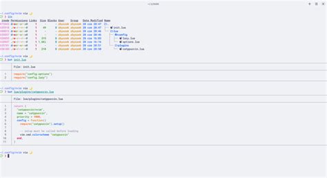 Nvim Lazy Nvim And Catppuccin Theme R Neovim
