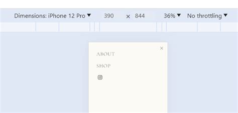 Social Icons Not Showing In Mobile Navigation Customize With Code