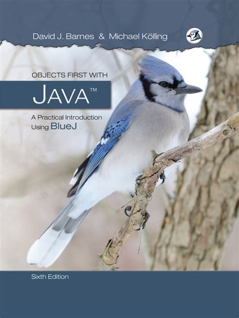 objects first with java a practical introduction using bluej 6th edition ebook etextnow