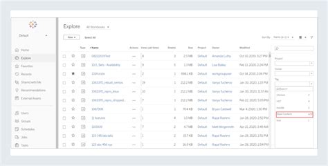 Tableau Usage Report