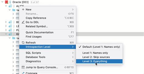 introspection levels intellij idea documentation
