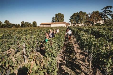 Bordeaux St Emilion And Medoc Wine Day Tour With Lunch