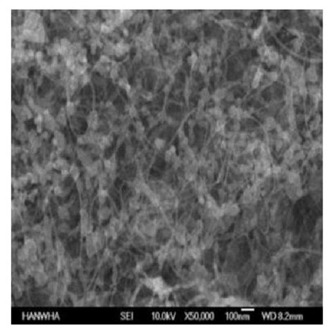 Growth Inhibition Of Raphidocelis Subcapitata Biomass Caused By Swcnts