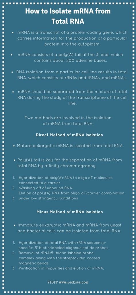 How To Isolate Mrna From Total Rna Pediaacom
