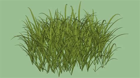Skatter Tall Grass Large Patch 3d Warehouse