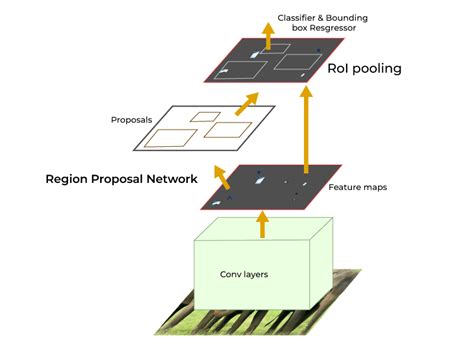 Explain The Difference Between Region Propsal Network And Roi Pooling For Object Detection In