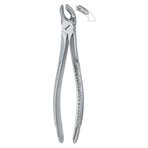 Extracting Forceps Steel Plated Instrument