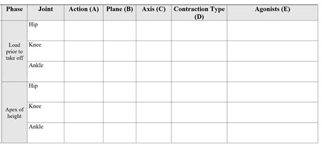 Solved Analyze Each Exercise In The Exercise Analysis
