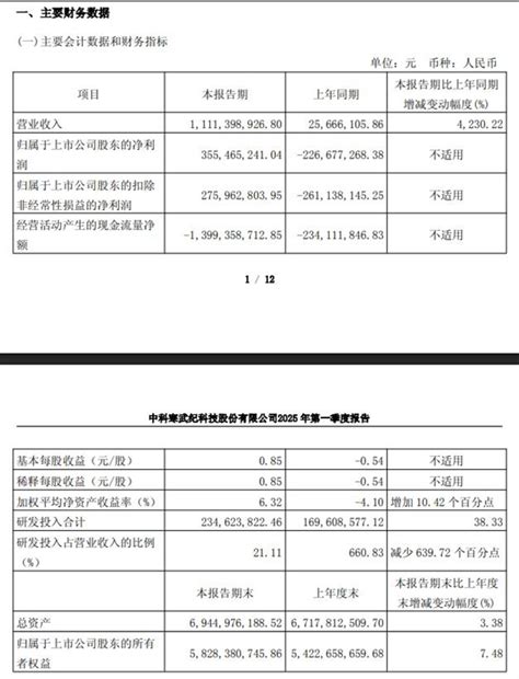 国产ai芯片第一股 寒武纪2025年q1营收大涨42倍！扭亏为盈 快科技 科技改变未来