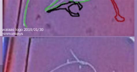 Secret Banner Message Album On Imgur