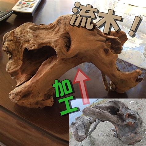 流木のDIYインテリア用に加工してみた リベンジDIY