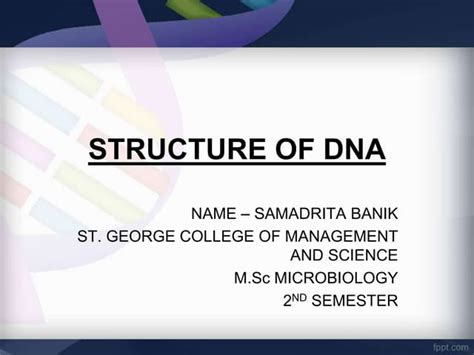 Dna Structure And Types Pptx