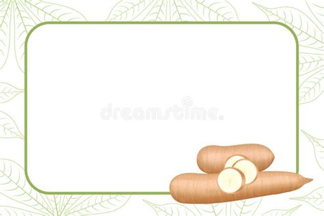 Banner Frame Of Cassava Fresh For Copy Space Cassava Cut Slice For