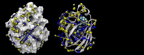 Protein Hydration Slides Beckstein Lab