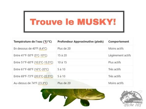 Guide Ultime De La Pêche Au Maskinongé 2025 Pêche 101