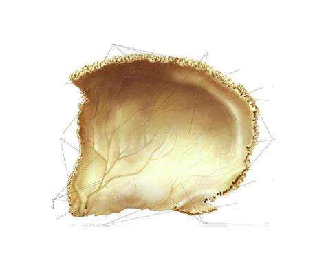 Borders Of Parietal Bone Quiz