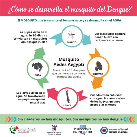 Dengue Zika Y Chikungunya Ministerio De Salud De Santiago Del Estero