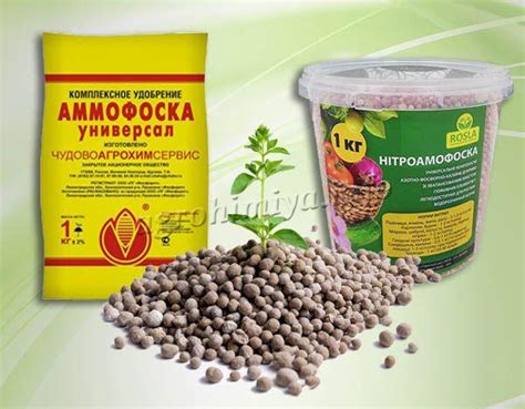 Удобрение Аммофоска: инструкция по применению, состав