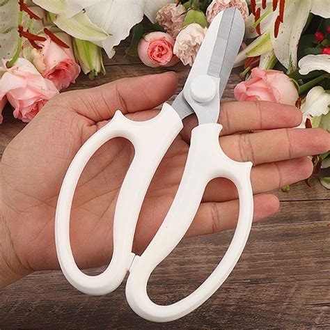 Kéo Cắt Tỉa Hoa Dụng Cụ Cắt Cành Cắm Hoa Và Làm Vườn đa Năng Mũi Bầu