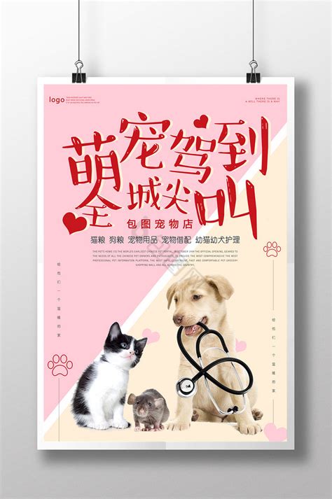 寄样图片 寄样素材免费下载 包图网