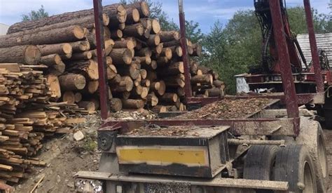 Горски инспектори от Пловдив разкриха схема за кражба на дървесина