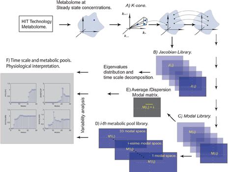 General Overview A Based On Metabolome Data And Reconstructed Download Scientific Diagram