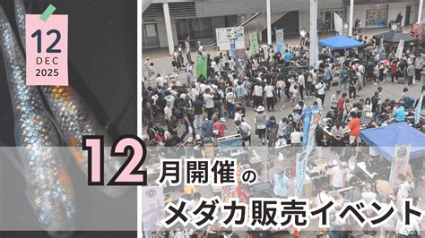 2025年12月開催のメダカ販売イベントまとめ情報 全国で開催中のメダカ販売イベントの情報サイト メダカ販売店のまとめ ひろなび