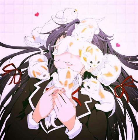 Котиков много не бывает 3 Аниме Amino Amino