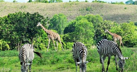 10 Unforgettable Coron Activities We Cant Wait To Experience Klook