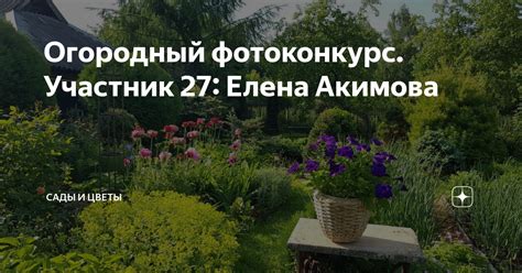 Огородный фотоконкурс Участник 27 Елена Акимова Сады и цветы Дзен