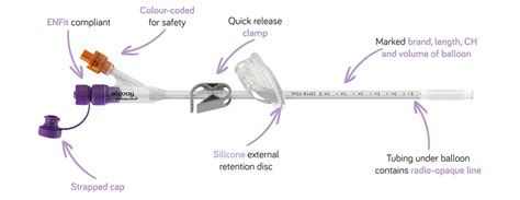 Replacement Balloon Gastrostomy Tubes
