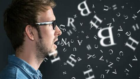 Cortex Associatif Caractéristiques Et Fonctions Nos Pensées