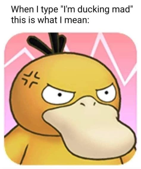Meme Image Psyduck Cute Pokemon Pictures Cute Pokemon Wallpaper