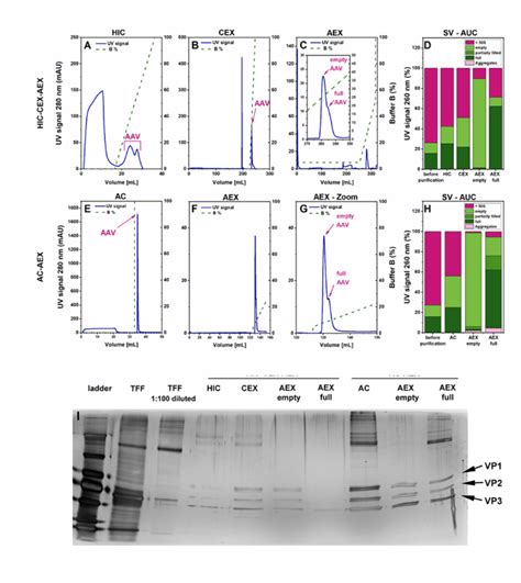 comparison of hic cex aex and ac aex for purification of the raav2 8