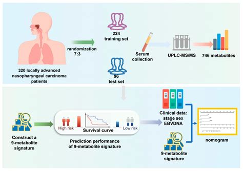 Nasopharyngeal Carcinoma Ento Key